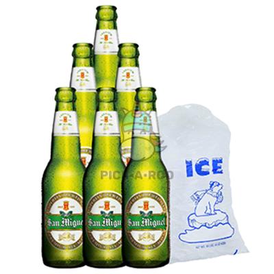 San Mig Premium All-Malt 330ml Bottle X 24 (1 Case), 60% OFF