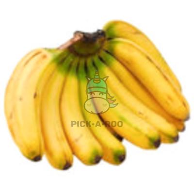 Lakatan banana store