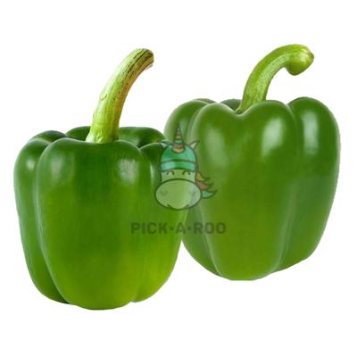 Golden Acres Green Capsicum | PICK.A.ROO"